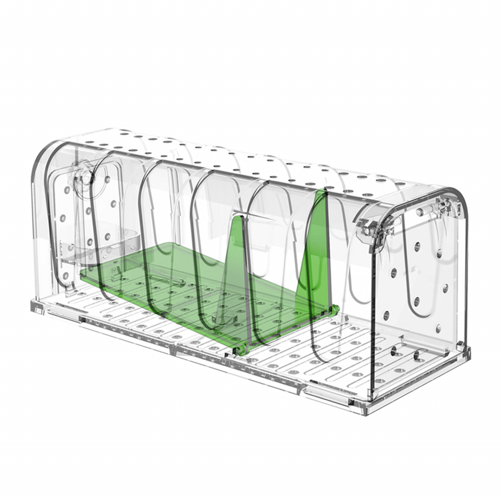 How Long Can a Mouse Stay in A Humane Trap？ - Thanos Home