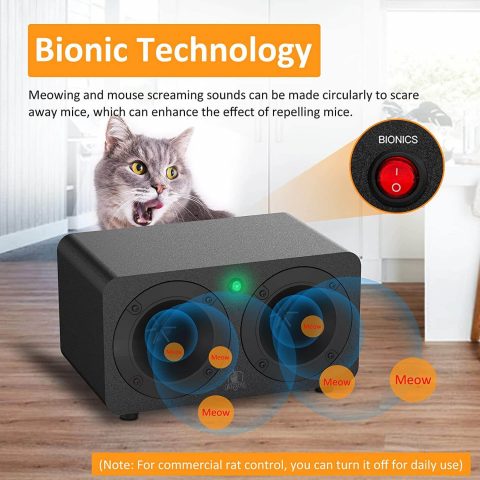 Do Ultrasonic Pest Repellers Work on Bats? - Thanos Home