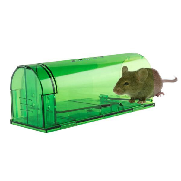 How to Clean a Mouse Trap? – Thanos Home