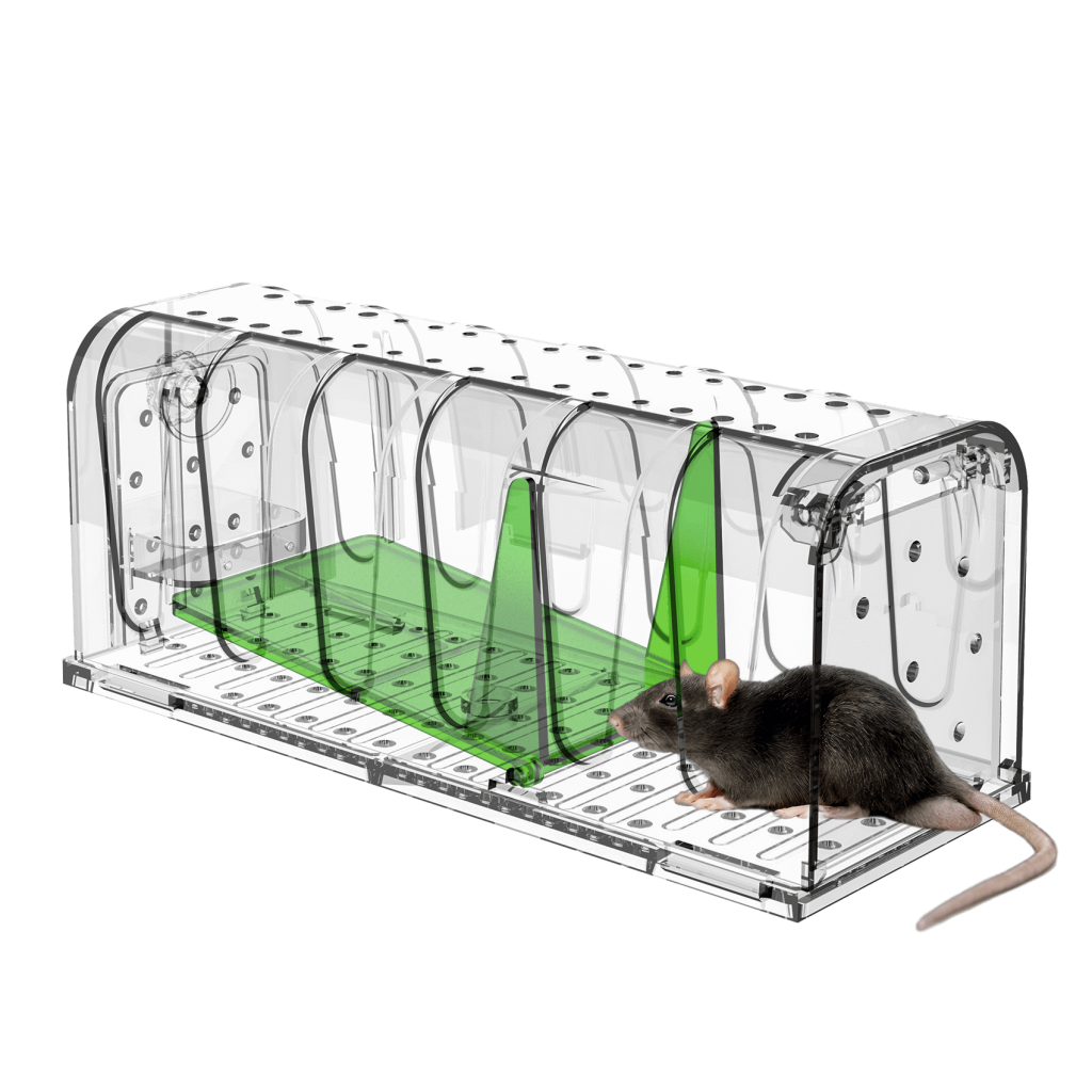 How Far Away Should You Release a Trapped Mouse? - Thanos Home